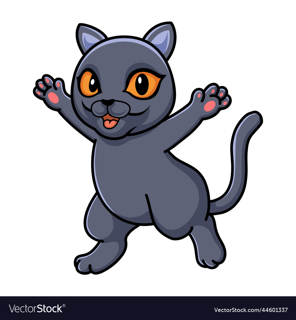 Cute british shorthair cat cartoon Royalty Free Vector Image