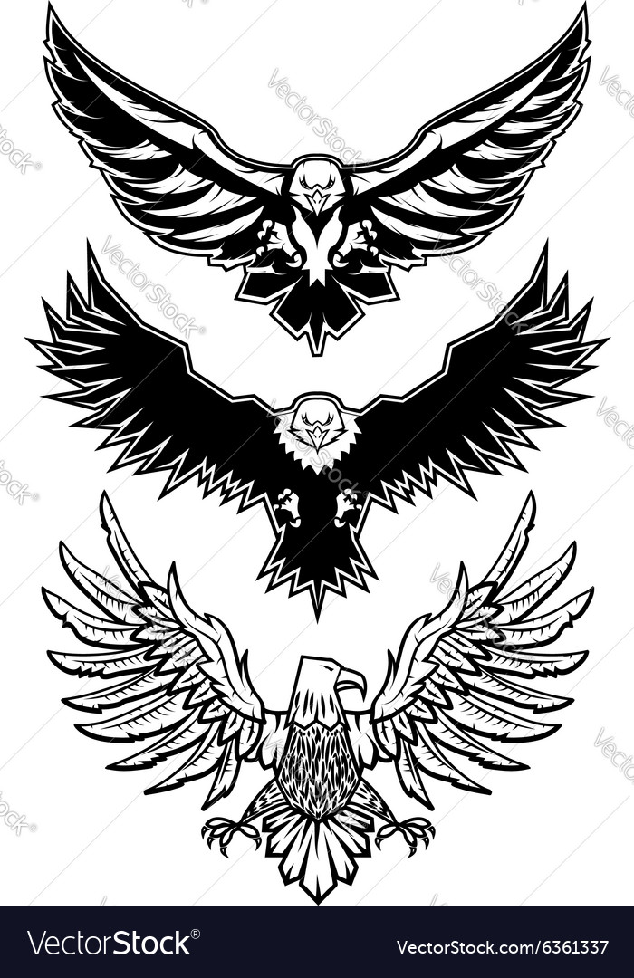 Eagles Royalty Free Vector Image - VectorStock