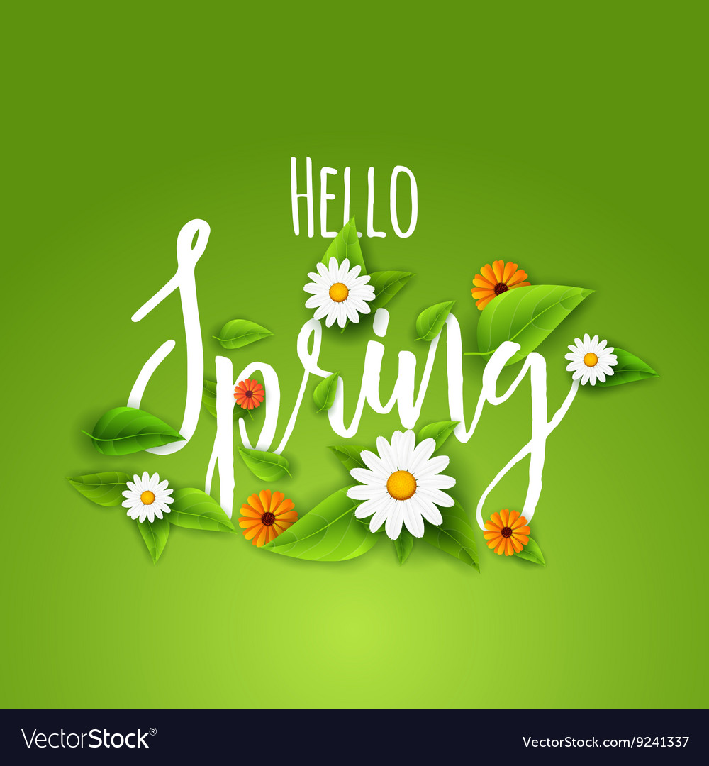 Fresh spring background poster with leafs Vector Image
