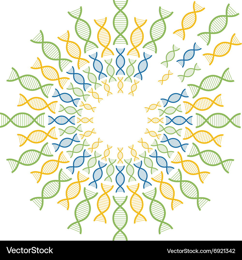Circle of dna spiral design template Royalty Free Vector