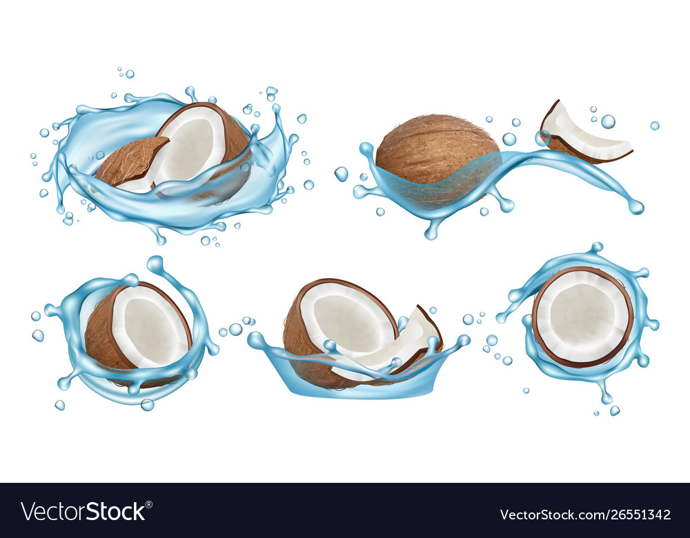 Coconut water set realistic coconuts and Vector Image Coconut water set realistic coconuts and Vector Image