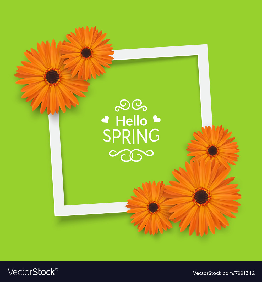Spring flowers frame composition Royalty Free Vector Image