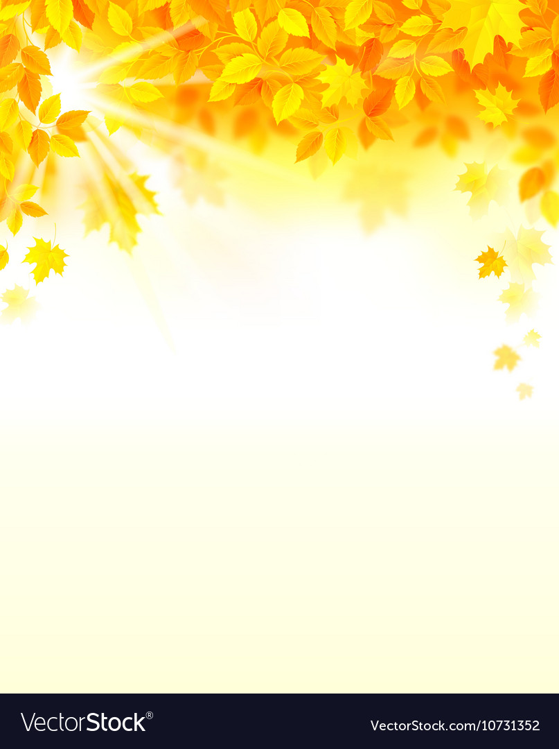Autumn decoration composition with maple leaves Vector Image