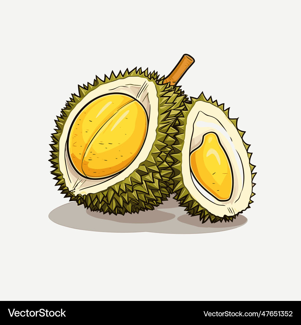 Durian hand-drawn doodle style cartoon Royalty Free Vector
