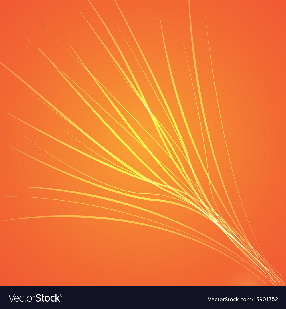 Orange bright background Royalty Free Vector Image