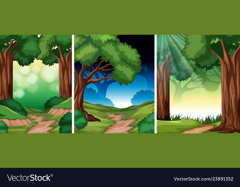 Set of tropical rainforest background Royalty Free Vector