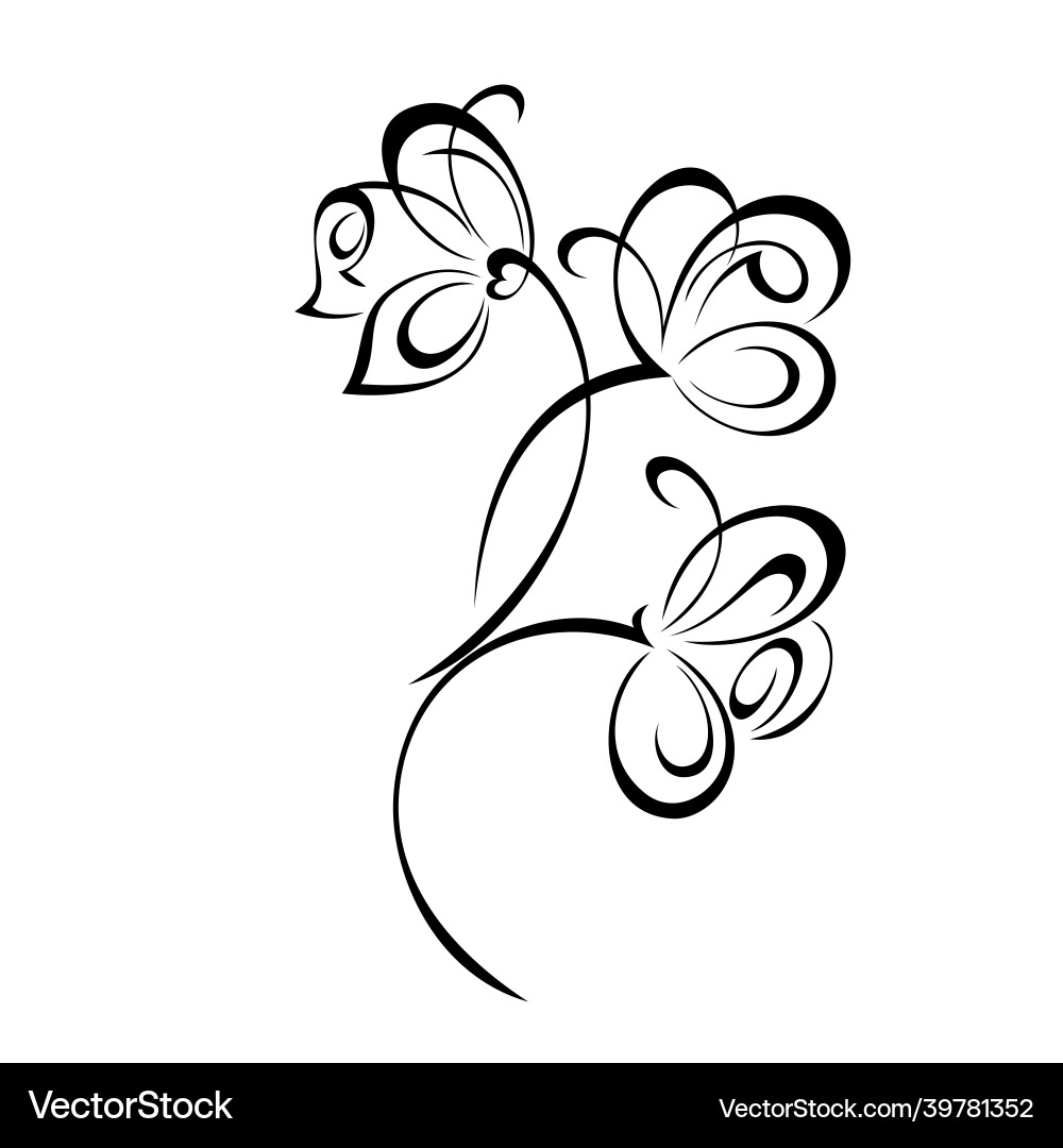 Stylized bouquet of three flowers Royalty Free Vector Image