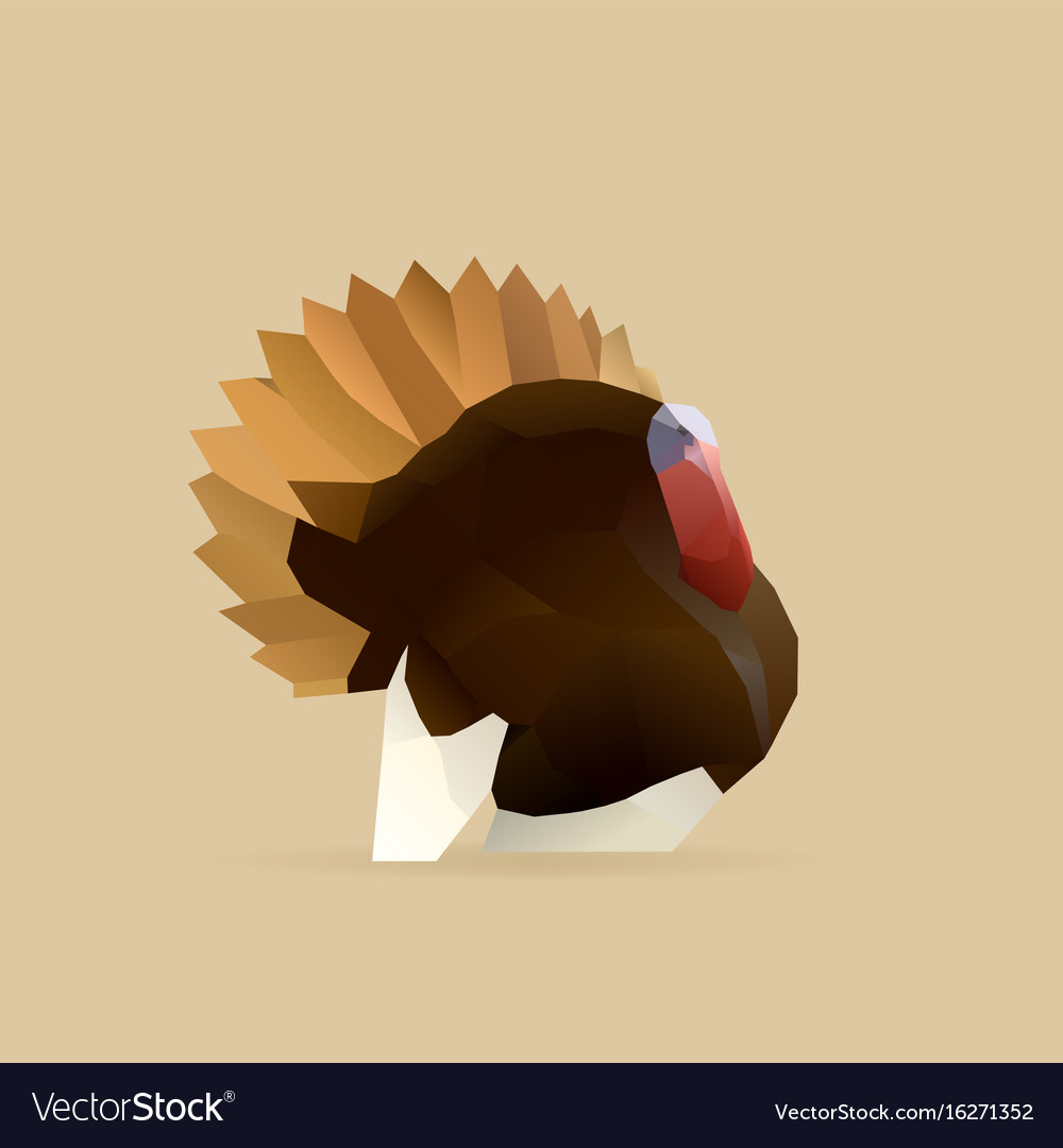 Turkey Royalty Free Vector Image - VectorStock