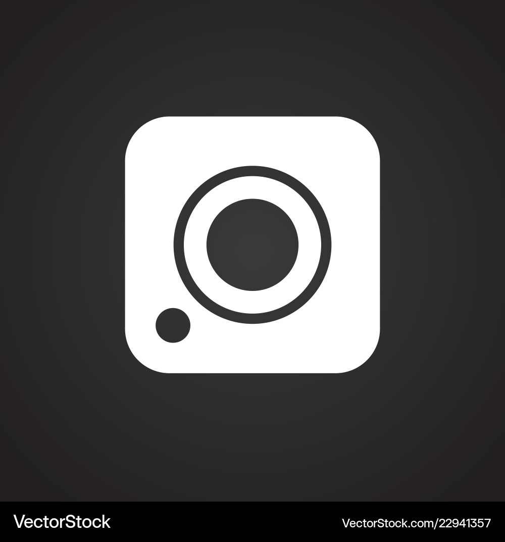 Social media camera icon on white background Vector Image