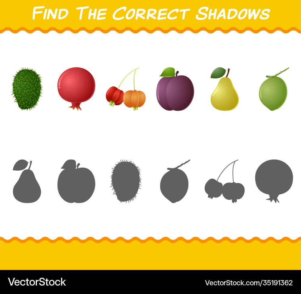 Find correct shadows cartoon fruits Royalty Free Vector