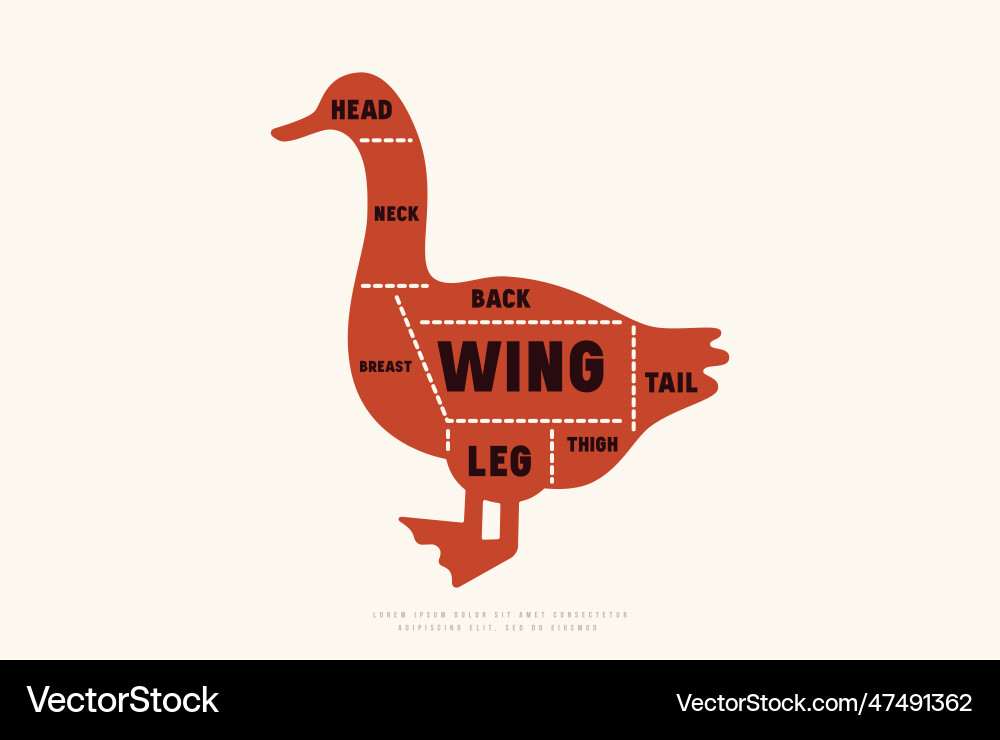 Goose cuts diagram in silhouette style Royalty Free Vector