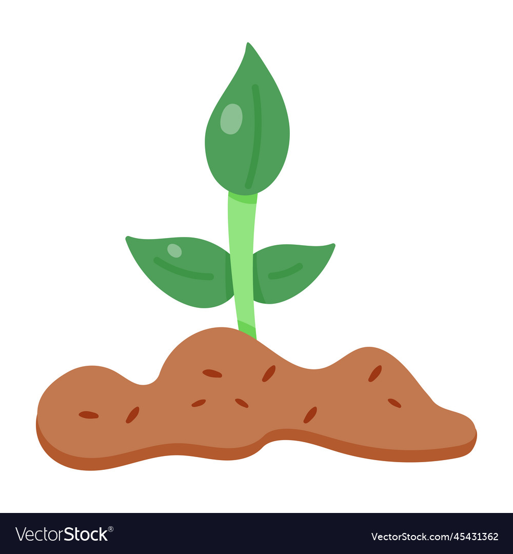 Sapling Royalty Free Vector Image - VectorStock