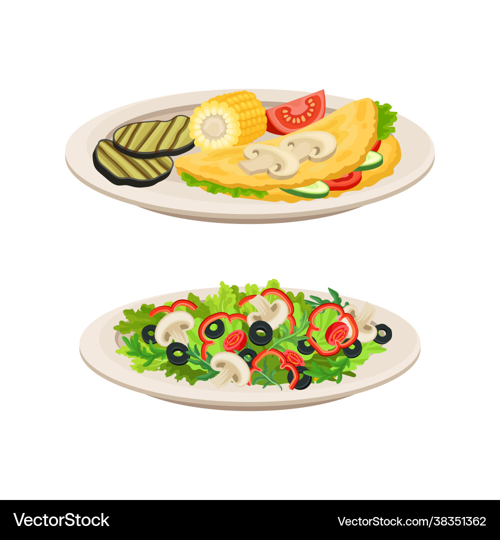 Vegan dish and main course with vegetable salad Vector Image