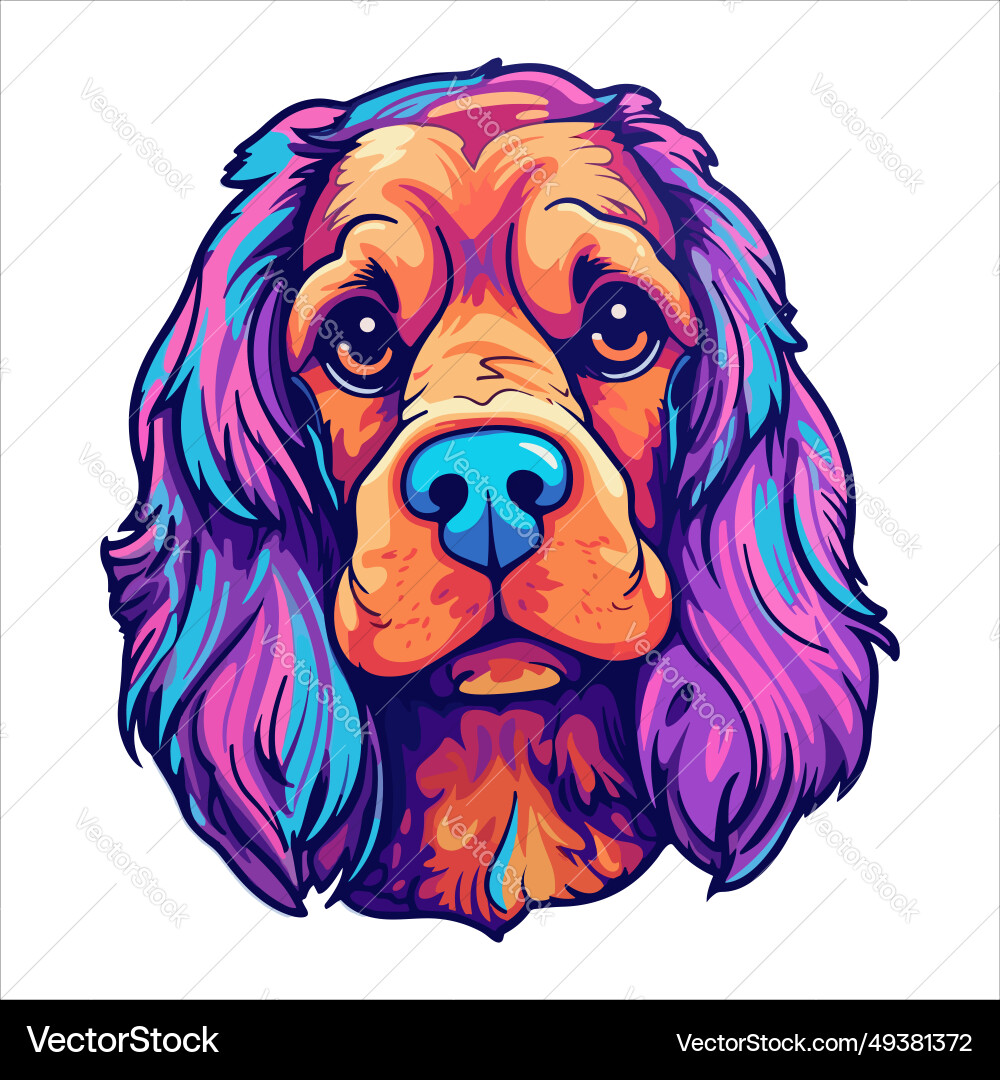 American cocker spaniel dog breed colorful Vector Image