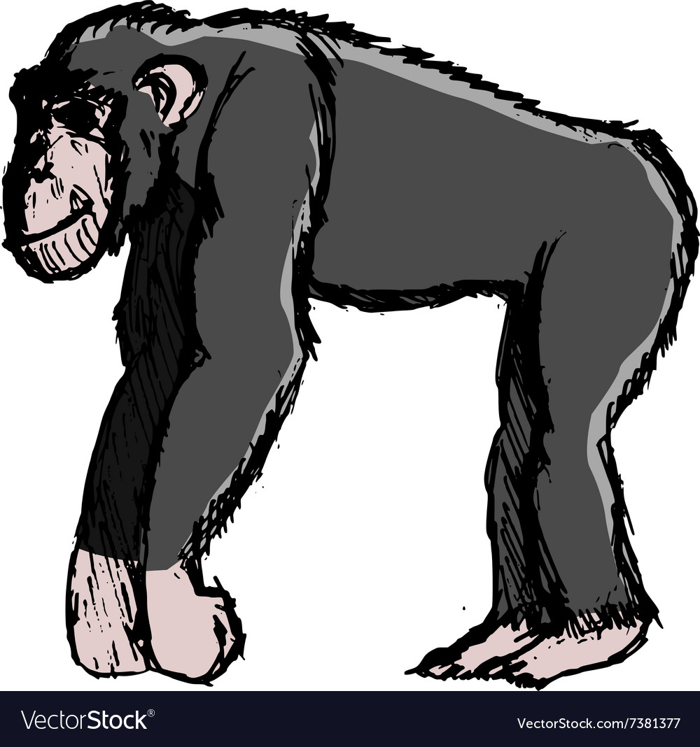 Chimpanzee Royalty Free Vector Image - VectorStock