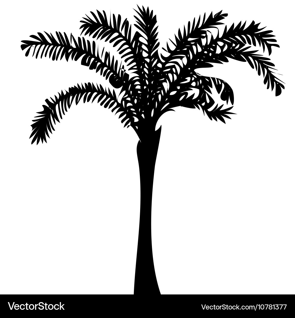 High quality original of palma Royalty Free Vector Image