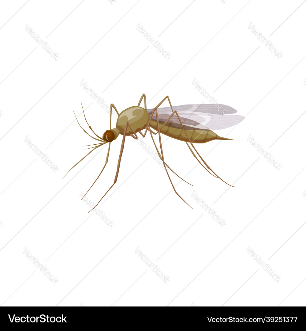 Mosquito icon insect parasite and pest control Vector Image