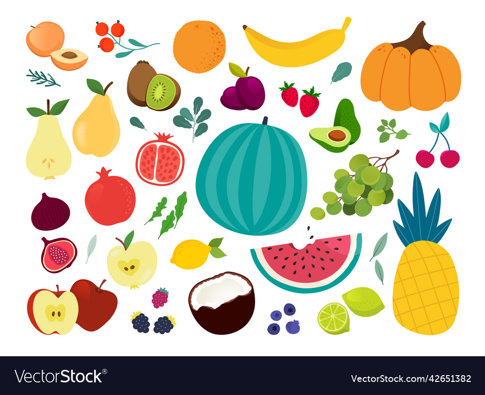 Collection of vibrant colors fruits flat style Vector Image