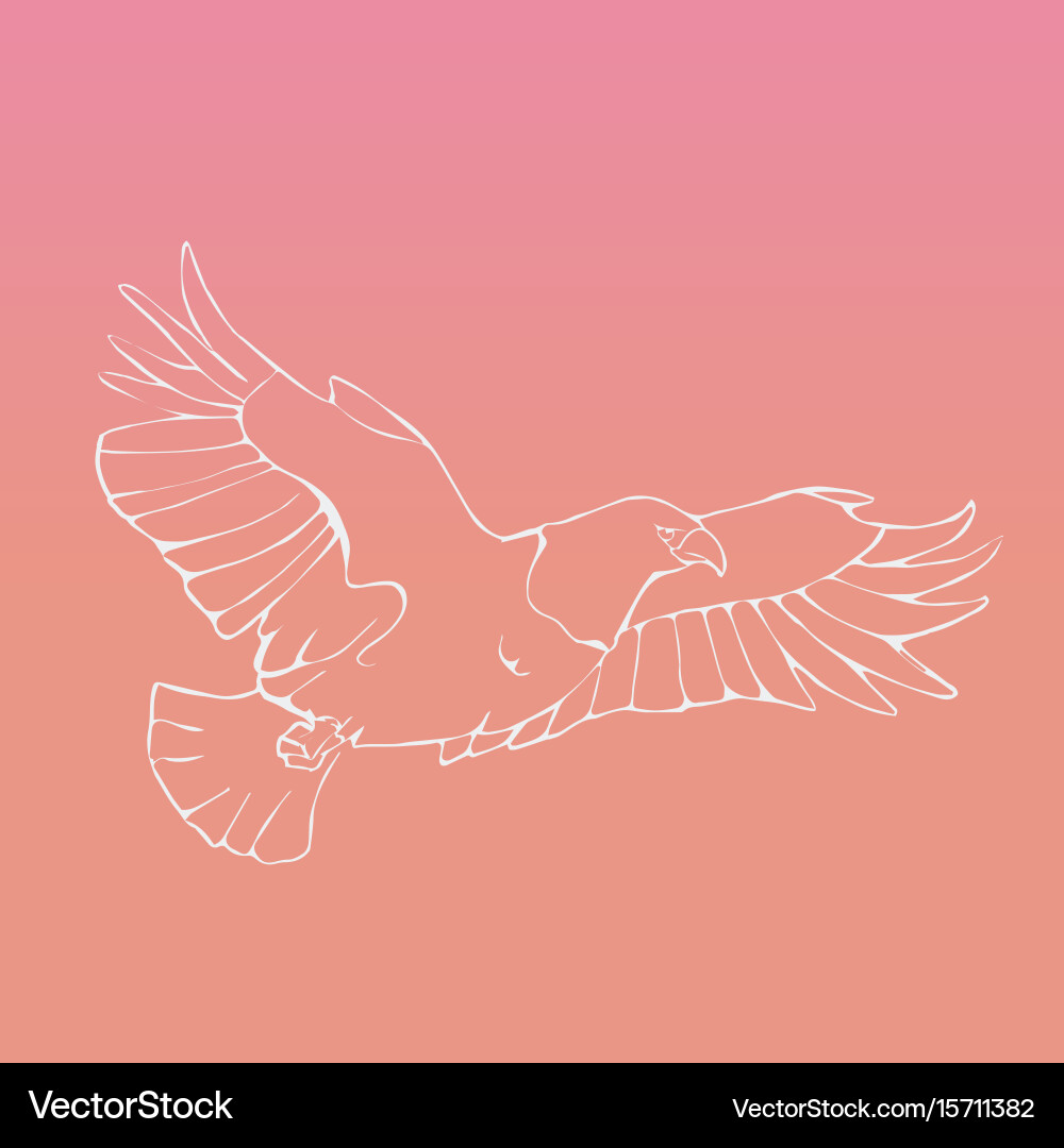 Hand-drawn graphics bird predator of prey Vector Image