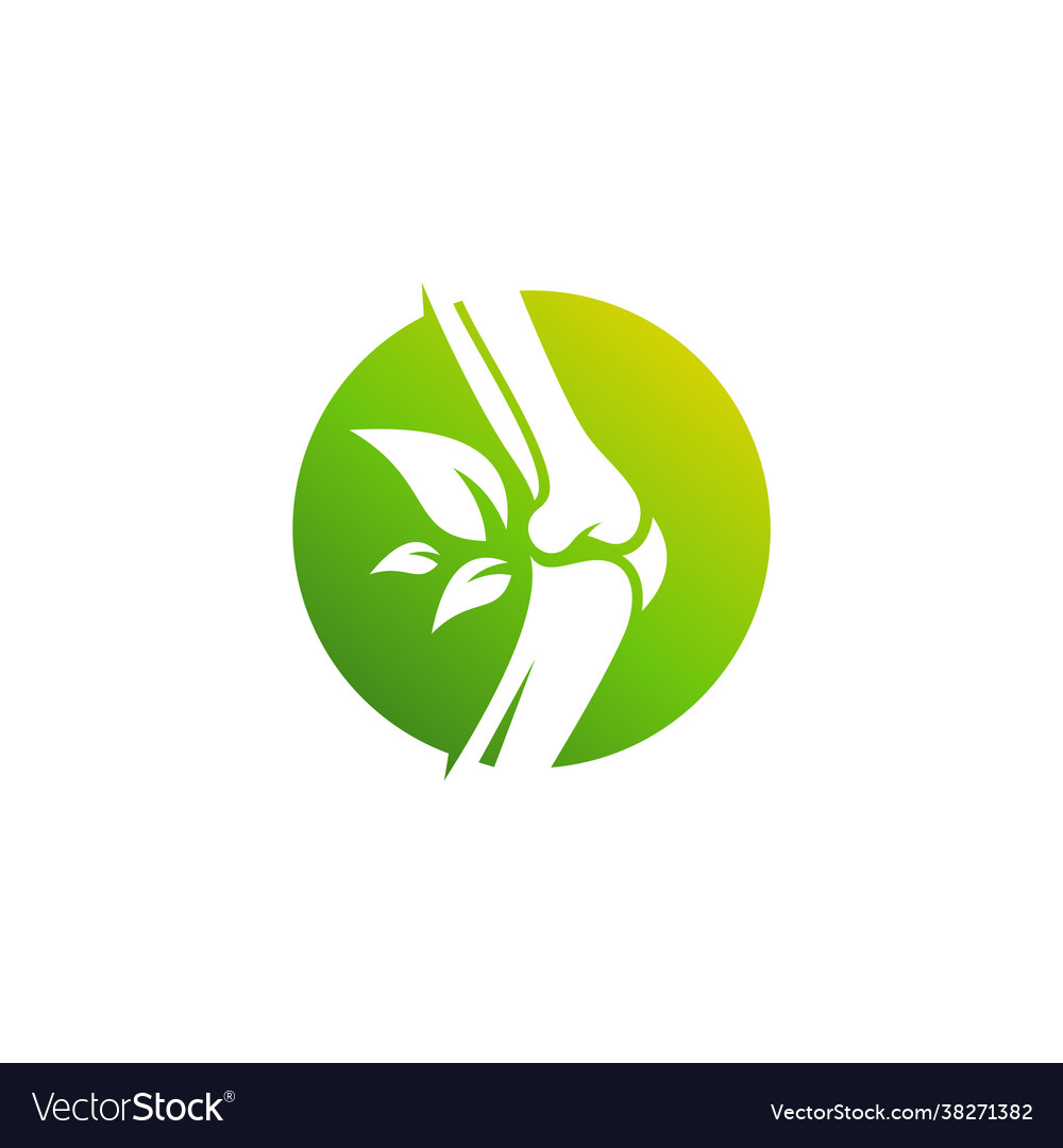 Leaf bone logo template creative bone logo Vector Image