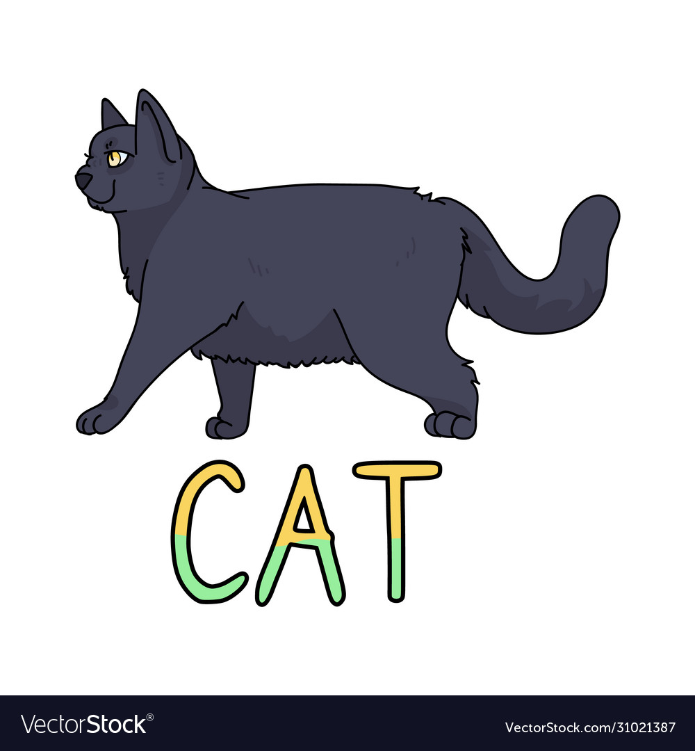 Cute cartoon british shorthair cat with text Vector Image