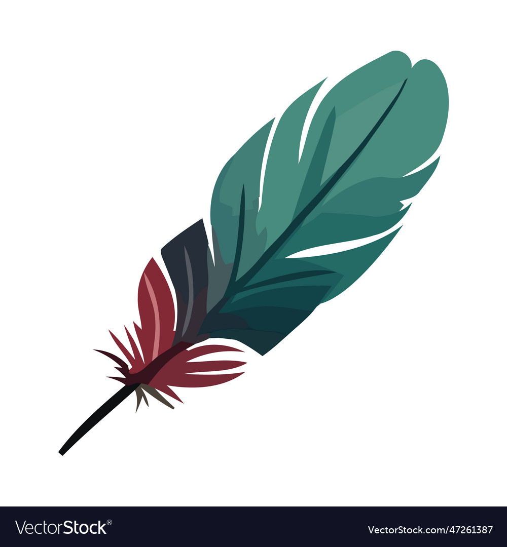 Decorative feather icon isolated Royalty Free Vector Image