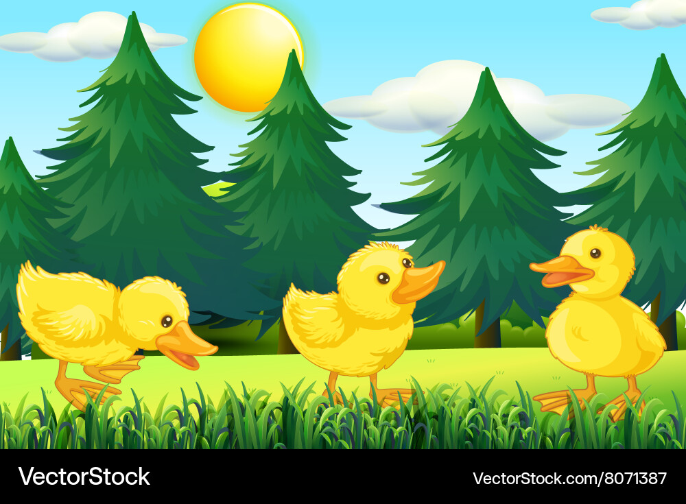 Three little ducklings in the park Royalty Free Vector Image