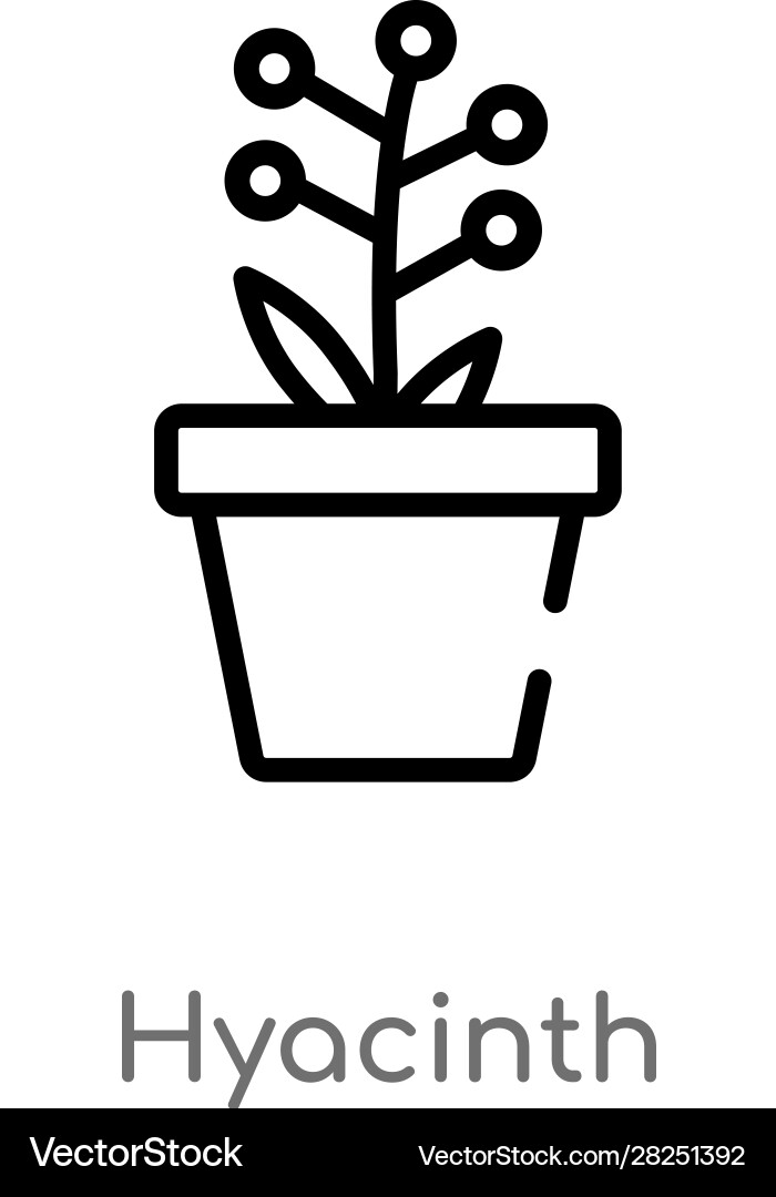 Outline hyacinth icon isolated black simple line Vector Image