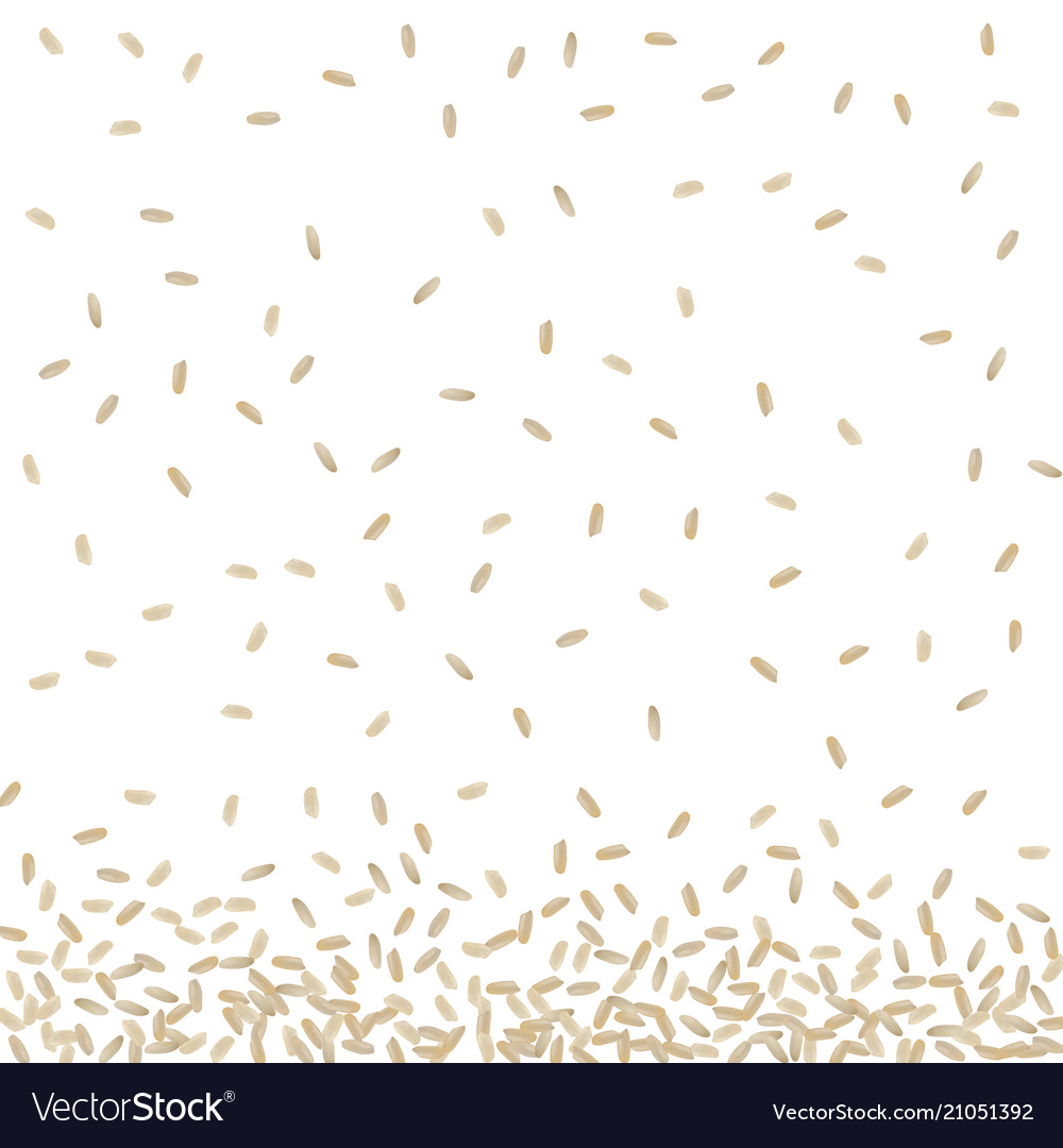 Realistic rice pattern Royalty Free Vector Image