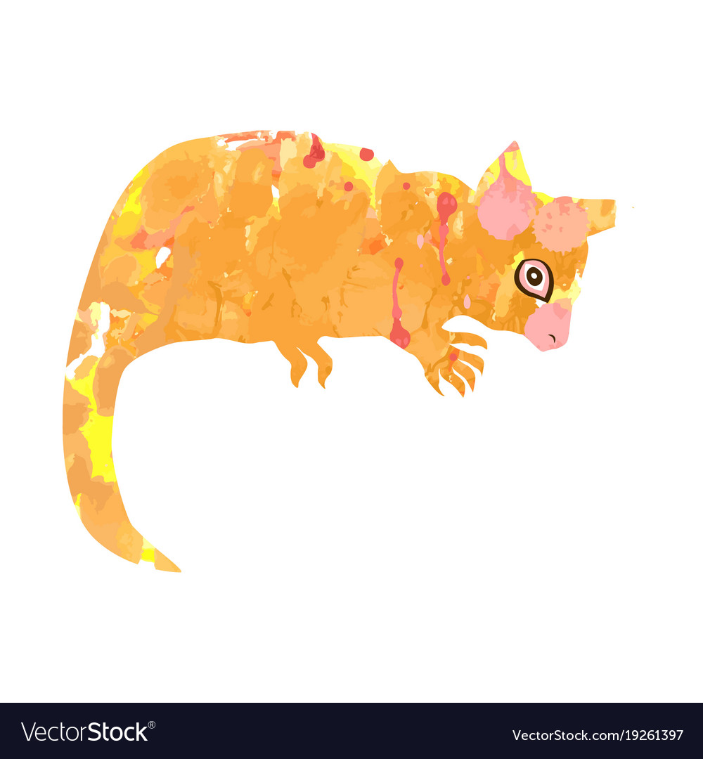 Kuzu brush-tailed tails possums Royalty Free Vector Image