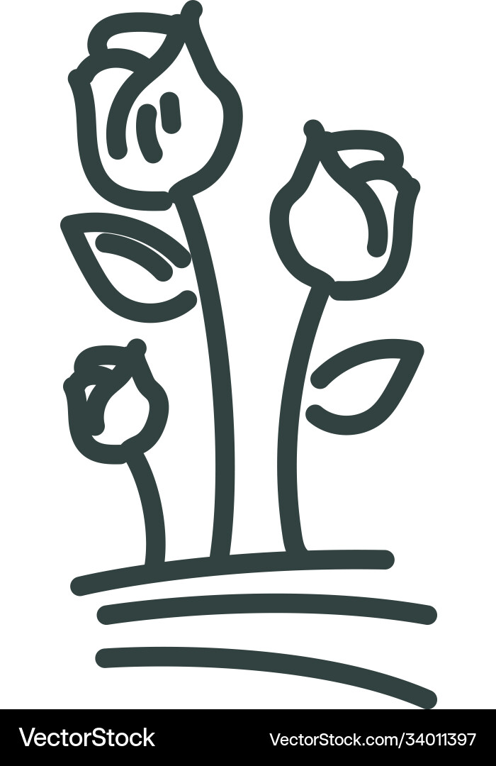 Rose flowers line style icon design Royalty Free Vector