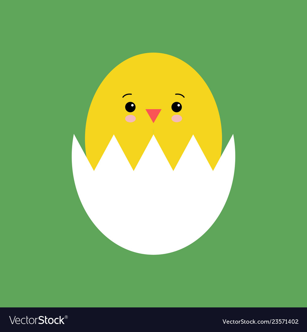 Funny yellow newborn chicken in broken egg shell Vector Image Funny yellow newborn chicken in broken egg shell Vector Image
