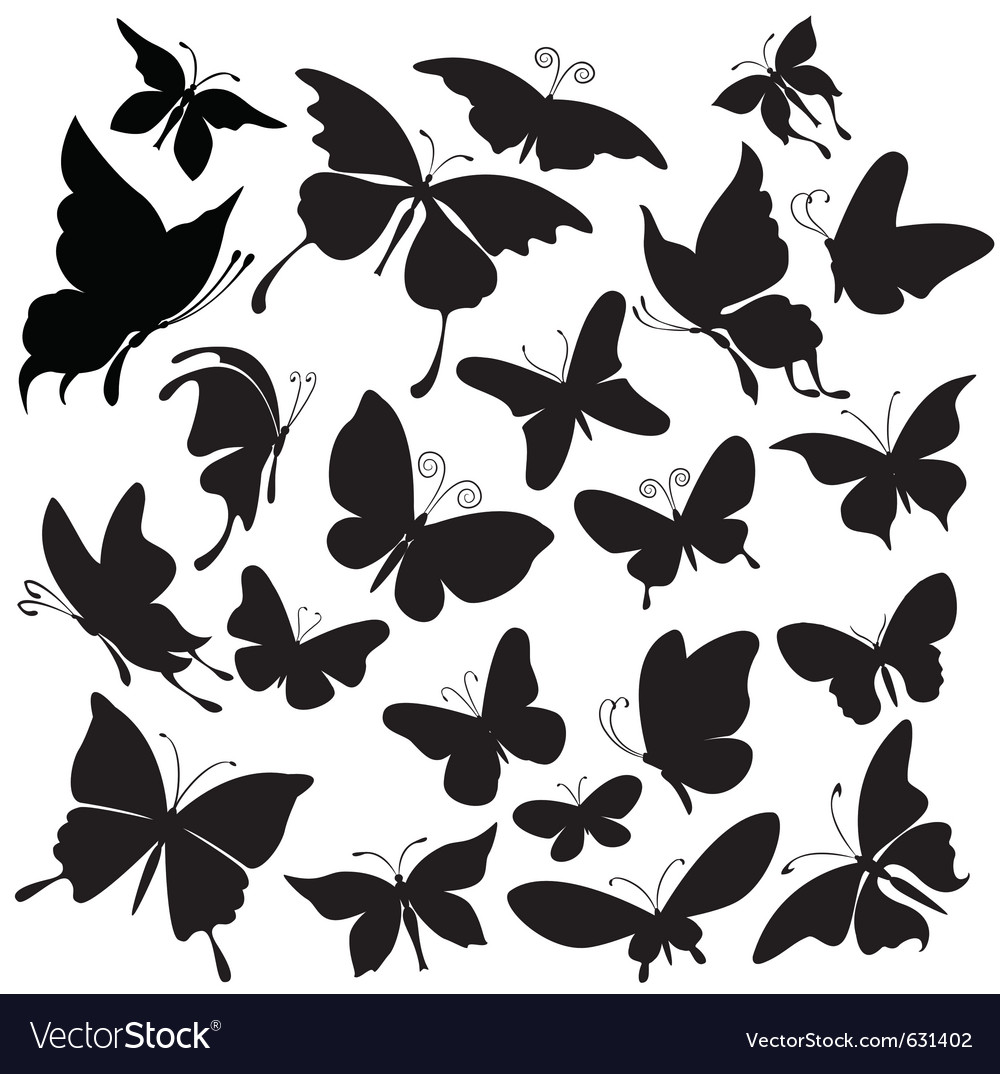 Set Of Silhouettes Of Butterflies Royalty Free Vector Image