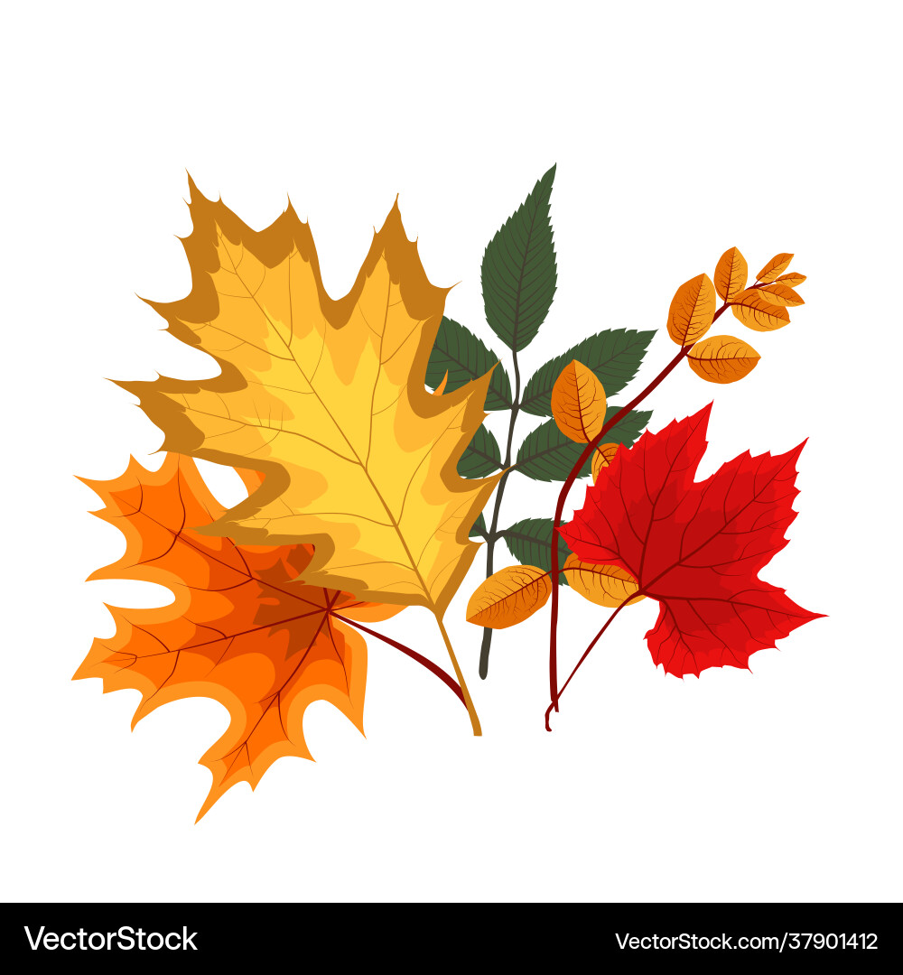 Autumn falling leaves icon isolated on white Vector Image