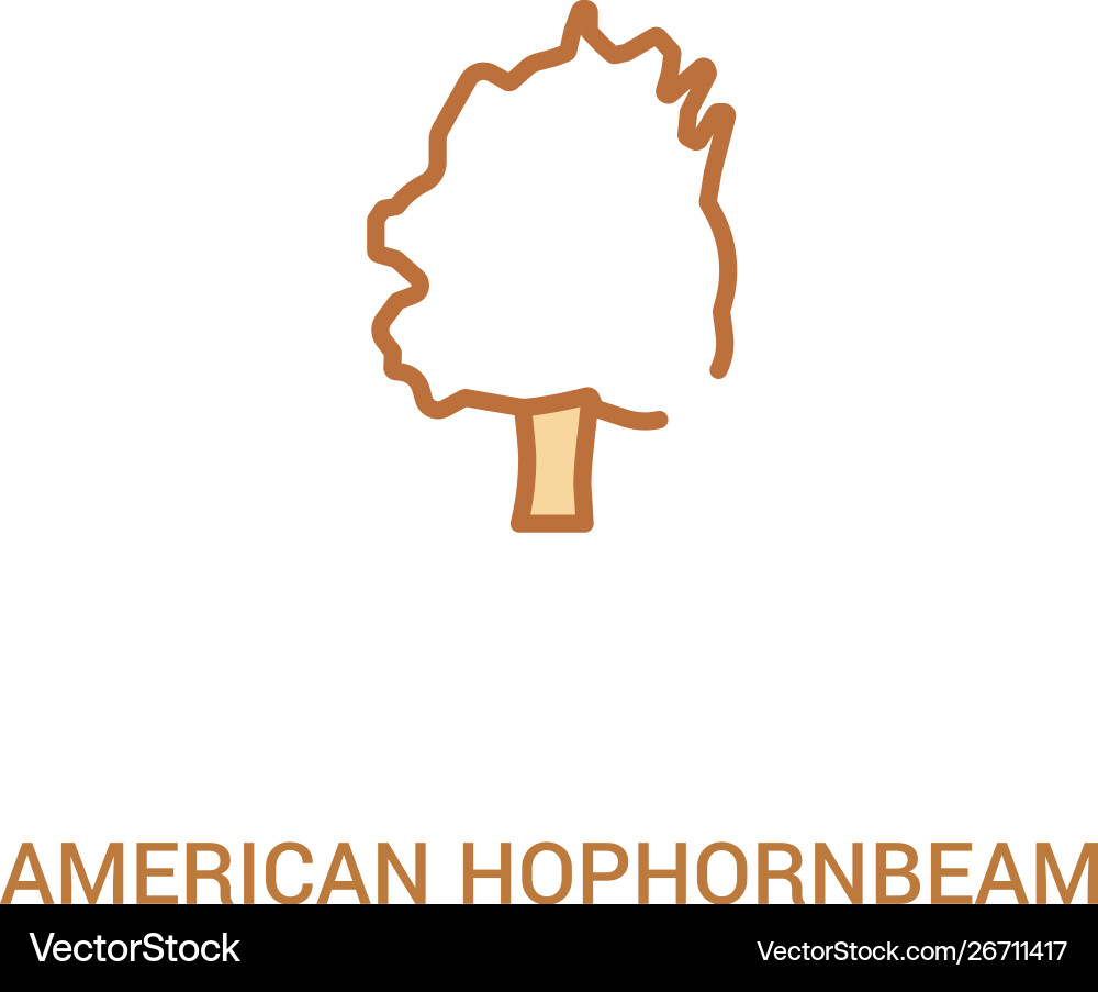 American hophornbeam tree concept 2 colored icon Vector Image