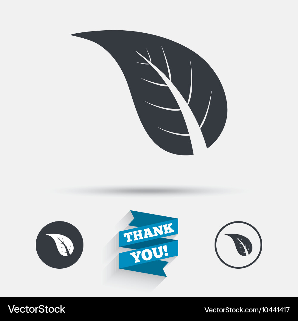 Leaf sign icon fresh product symbol Royalty Free Vector