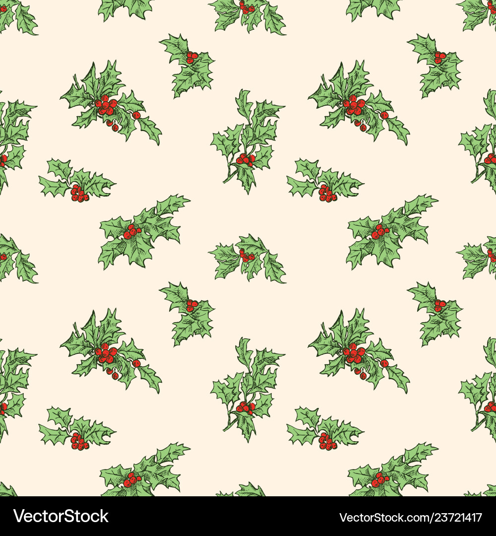 Seamless pattern of the holly branches Royalty Free Vector