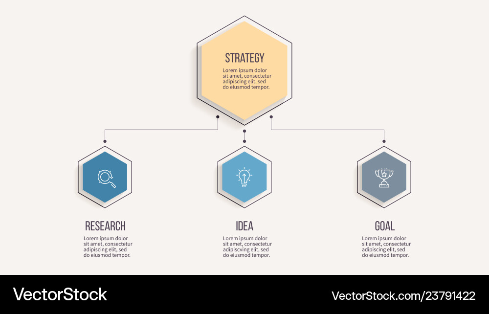 Business infographic organization chart with 3 Vector Image