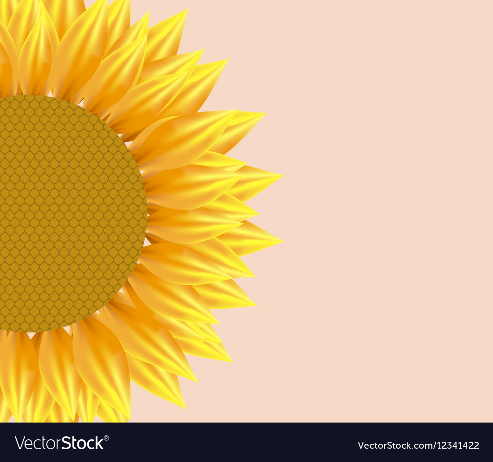 Sun flower with pattern Royalty Free Vector Image