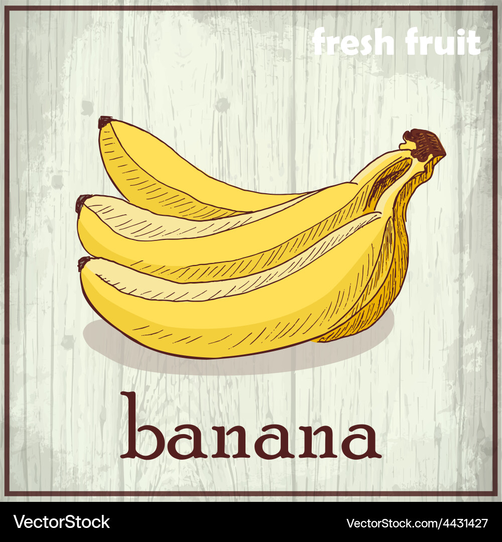 Hand drawing banana fresh fruit sketch Royalty Free Vector