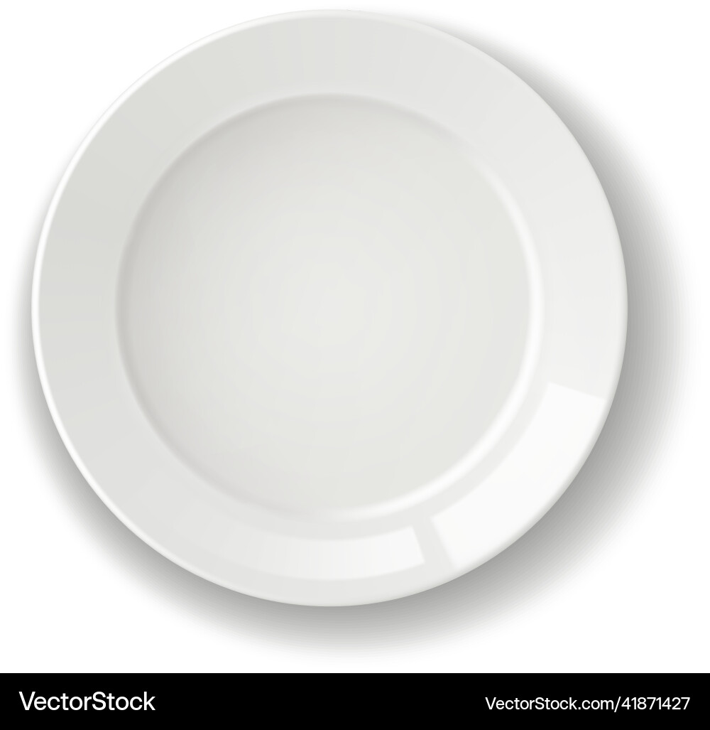 White round plate top view realistic clean dish Vector Image