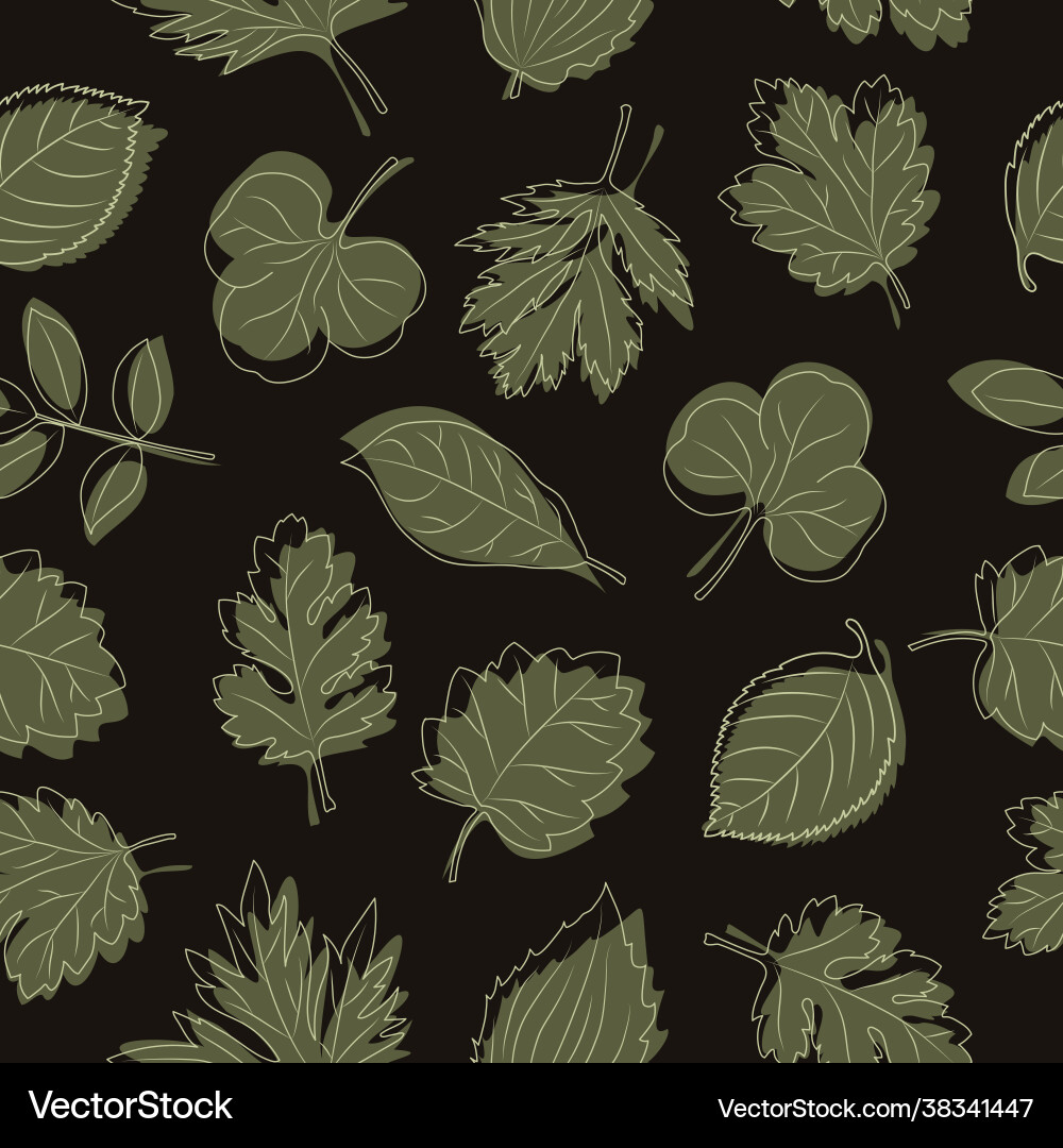 Contour leaves on green spotted background Vector Image