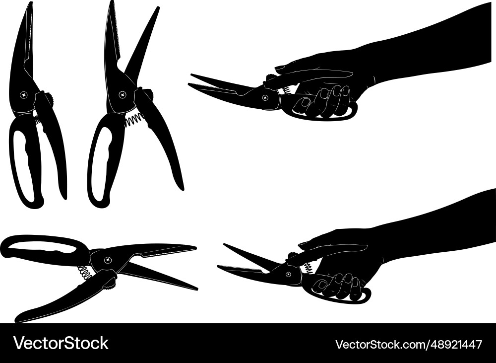Different kitchen scissors Royalty Free Vector Image