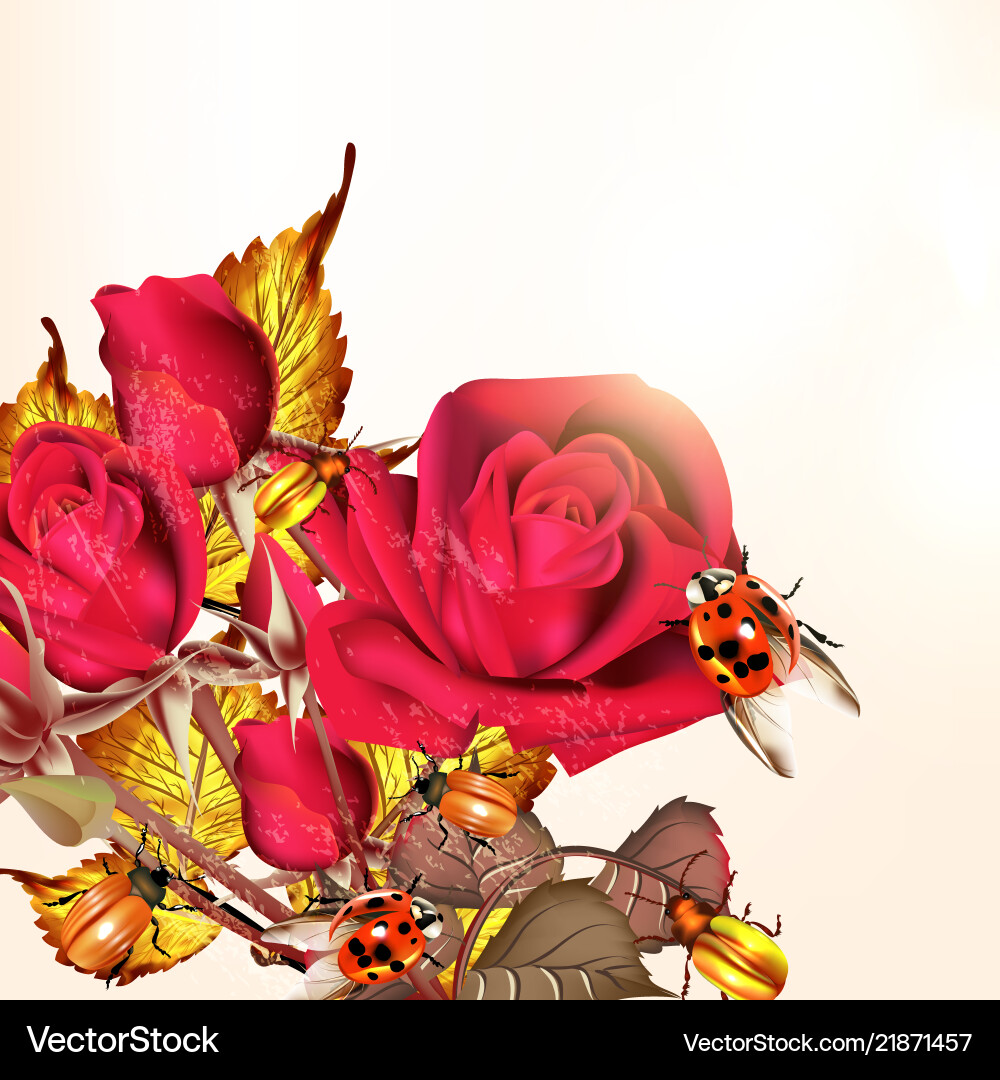 Background with roses and lady birds Royalty Free Vector