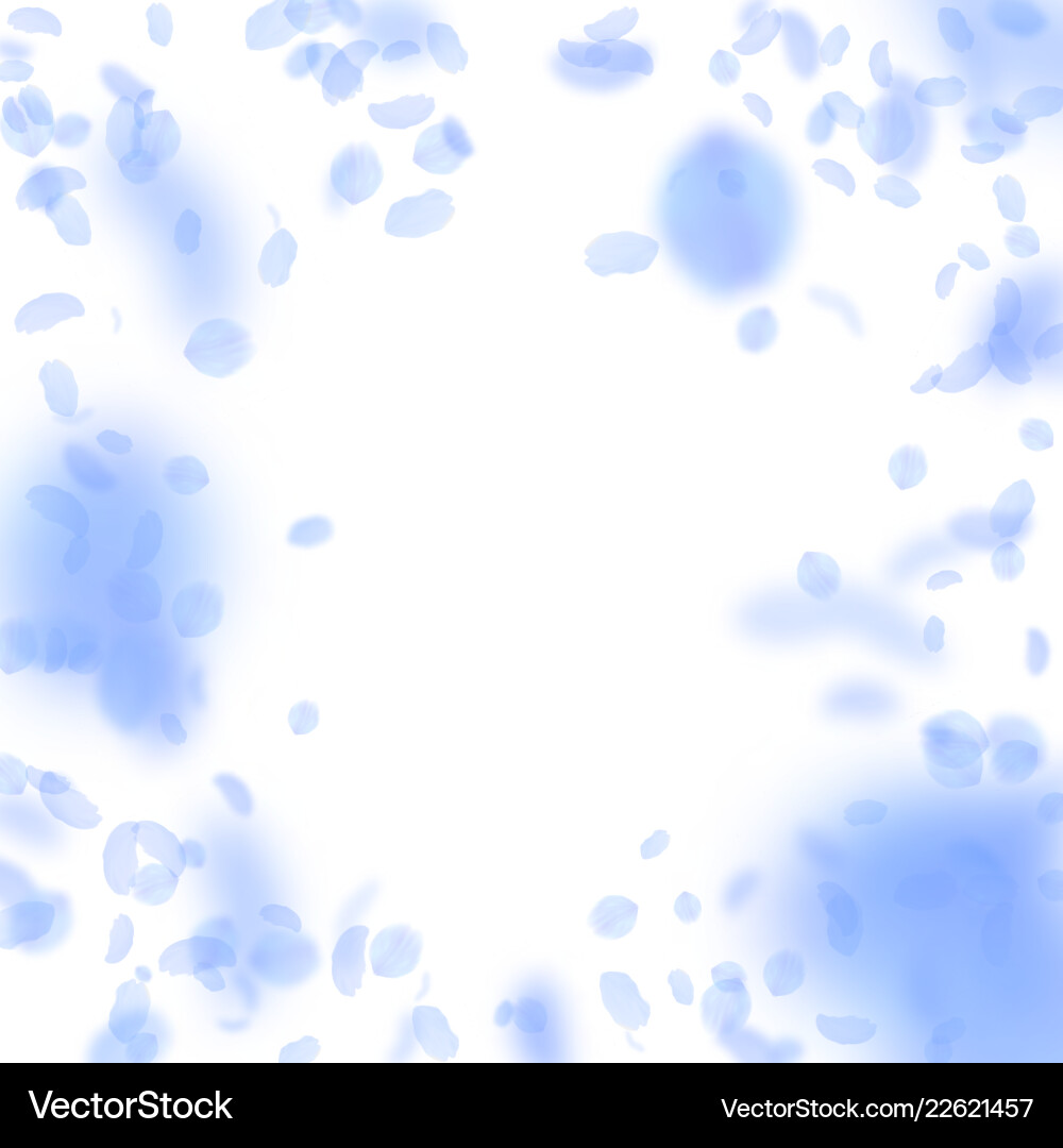 Dark blue flower petals falling down surprising r Vector Image