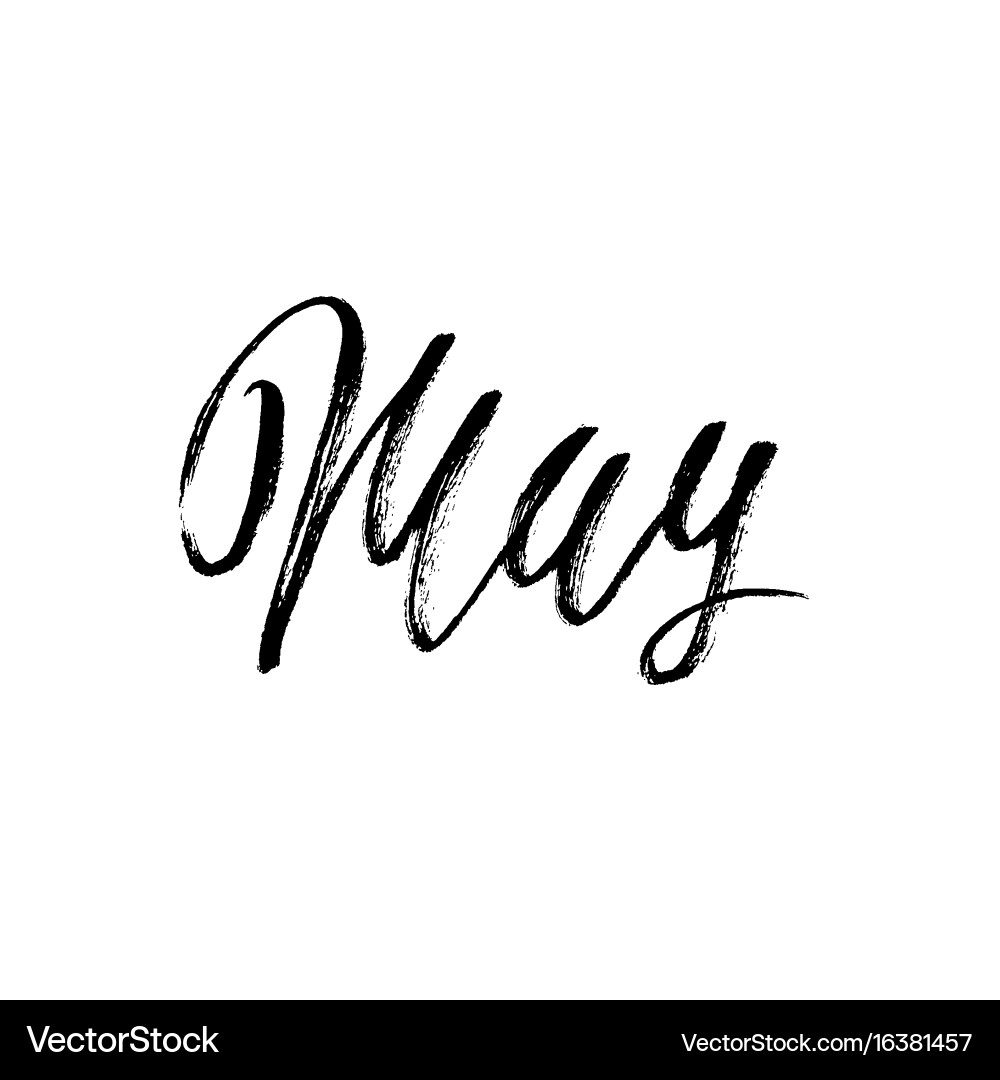 Hand drawn typography lettering may month Vector Image