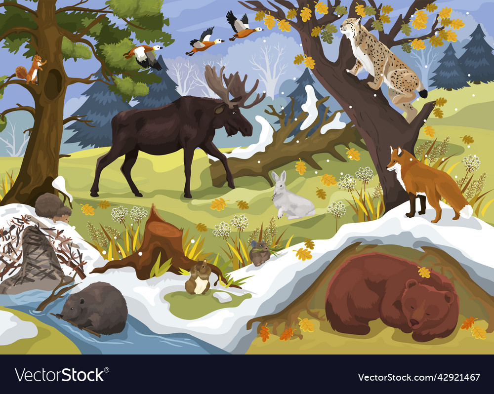 Animals in forest getting ready for winter Vector Image
