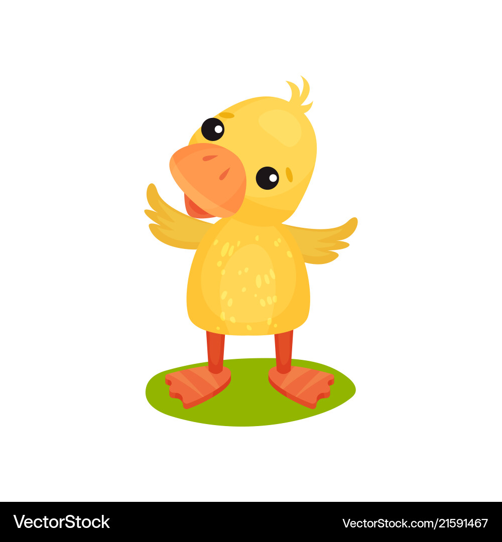 Cute little yellow duckling character standing Vector Image