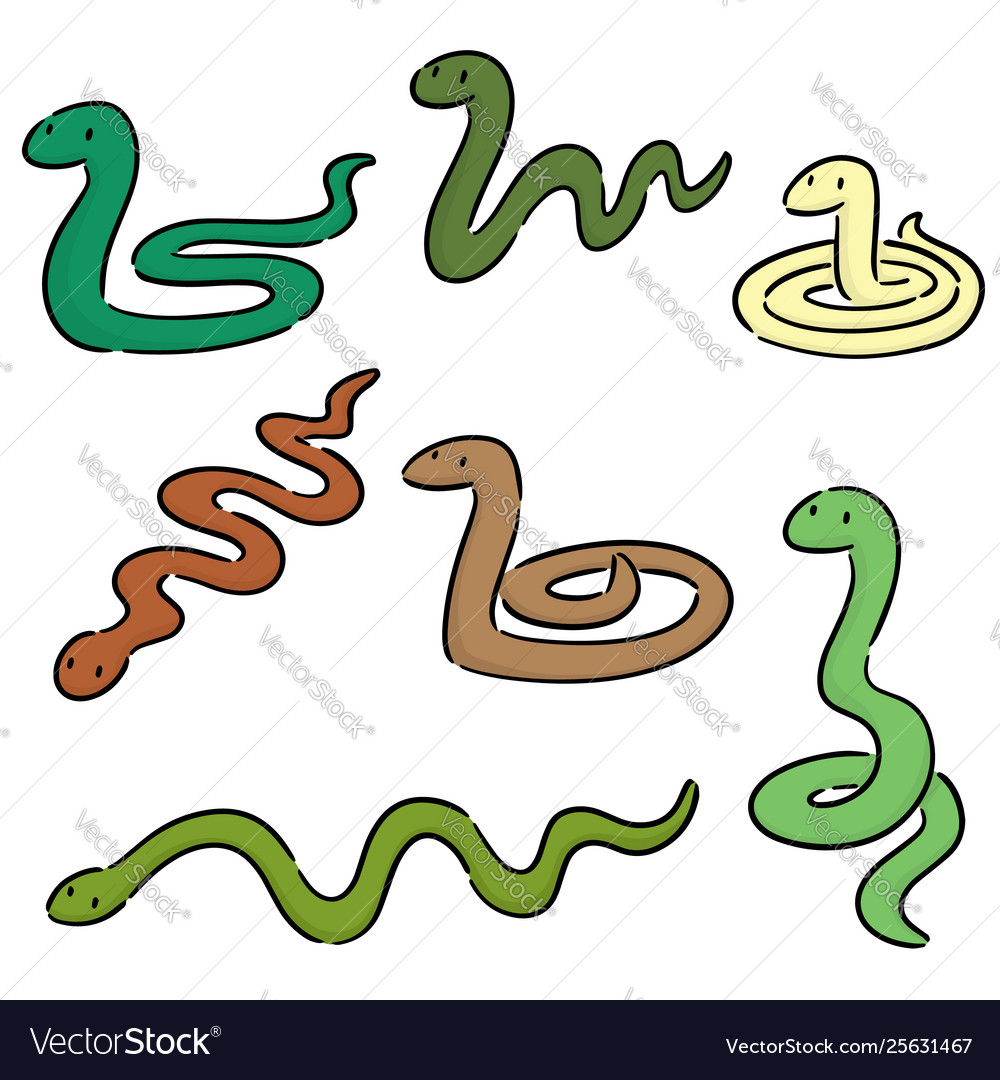 Set snakes Royalty Free Vector Image - VectorStock