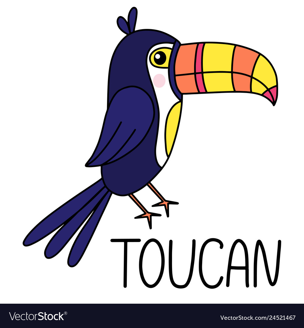 Toucan lettering Royalty Free Vector Image - VectorStock